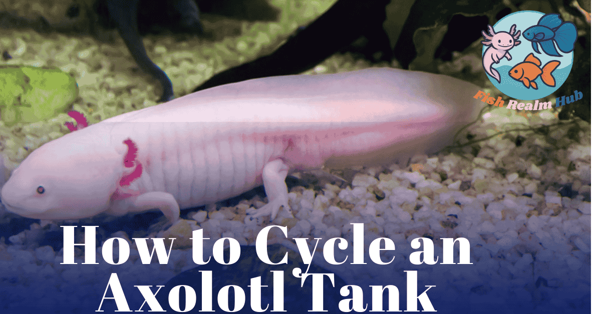 Master How to Cycle an Axolotl Tank Easily - Fish Realm Hub